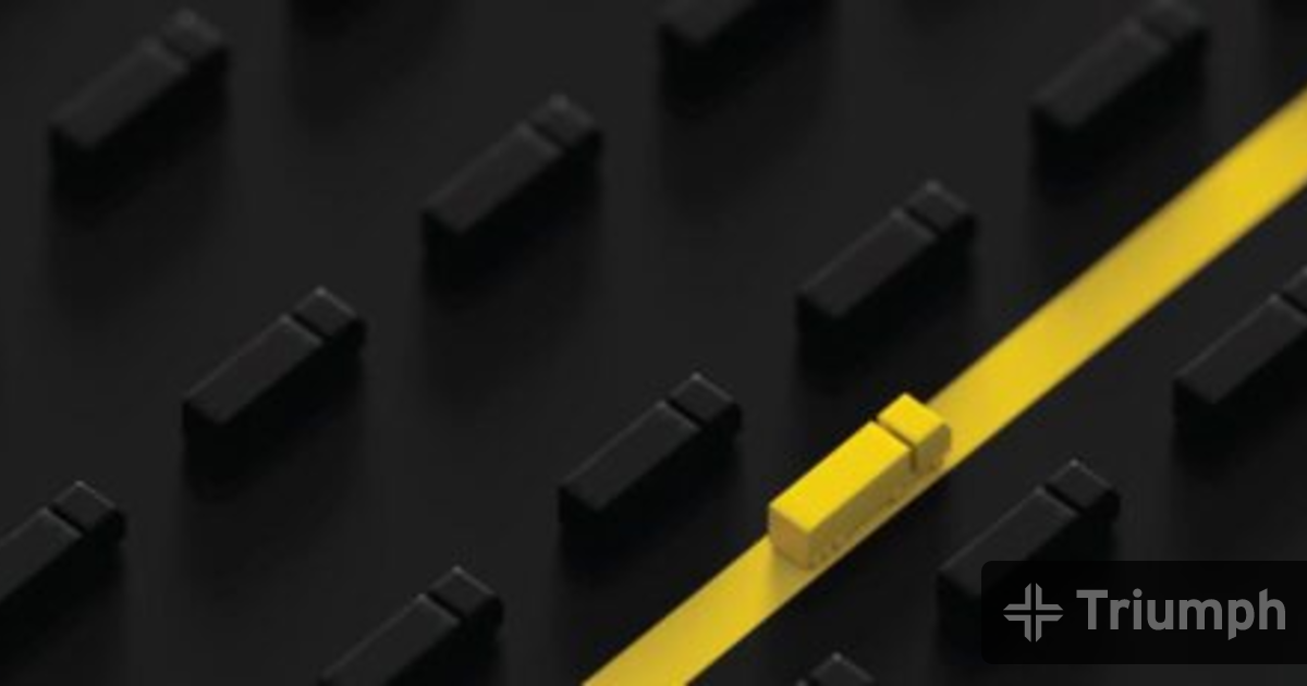 Freight Factoring 101: How Does Freight Factoring Work? - Triumph